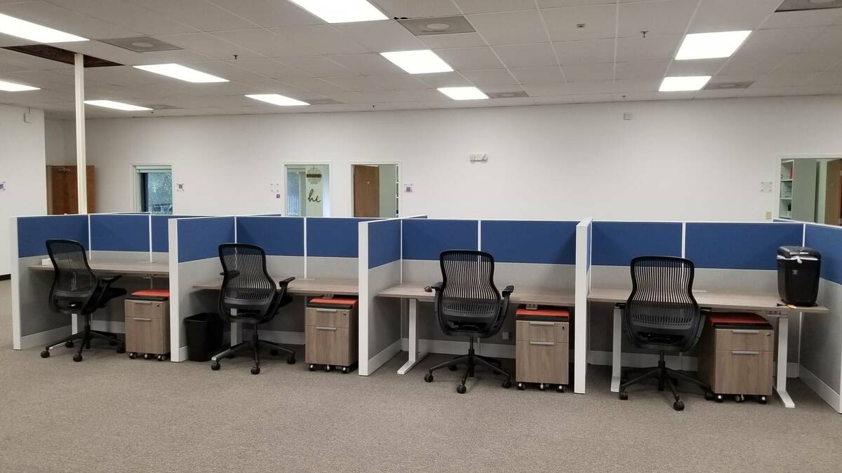 Elevate Your Suntree Business with Premier Structured Cabling Solutions ...